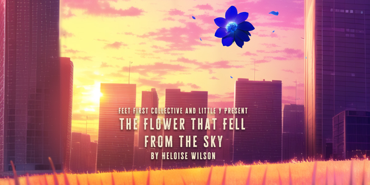 The Flower that Fell from the Sky by Heloise Wilson - The Blue Room Theatre